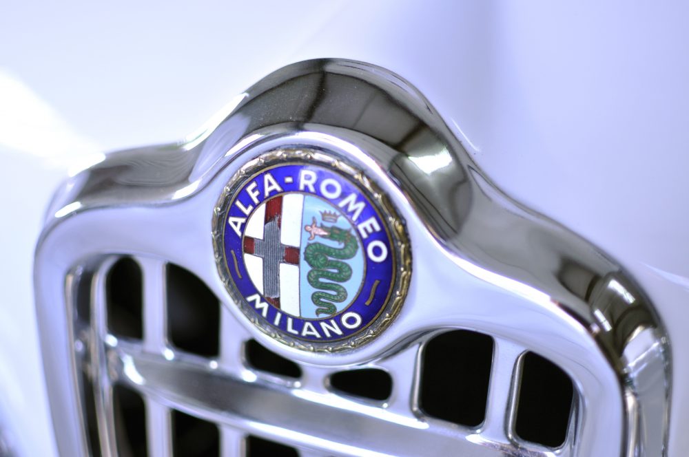 Alfa (Romeo) male - WAG MAGAZINE