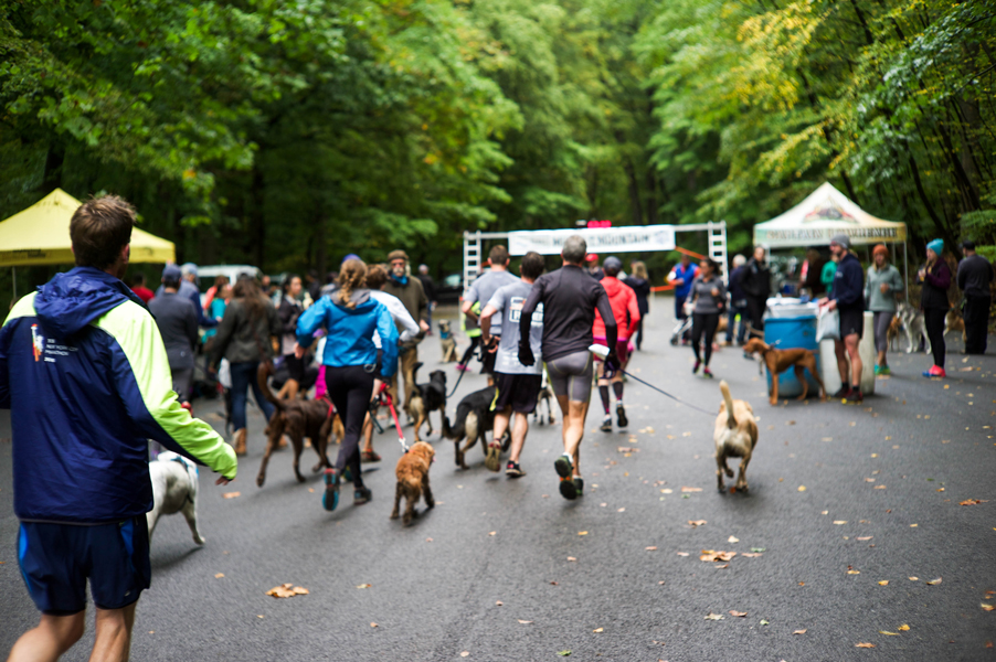 Tails wag for ‘Mutts on the Mountain’ - WAG MAGAZINE