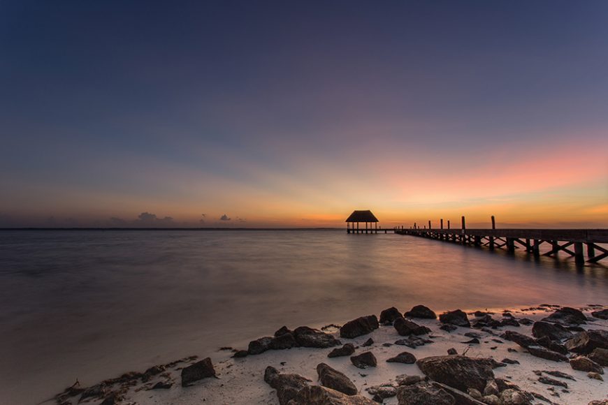 Mi CasaSandra - WAG MAGAZINE